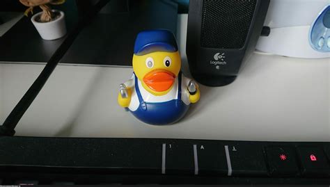 Took The Leap And Invested In A Professional Debugger ProgrammerHumor Io