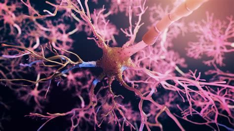 Nerve Synapse Animation