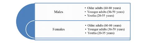 Segmentation Of The Focus Group Discussions By Age And Sex Download