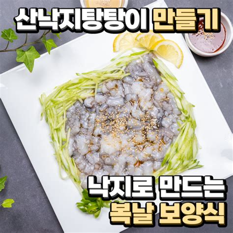 산낙지탕탕이 만들기 낙지로 만드는 복날 보양식 낙지머리숙회 포함 네이버 블로그