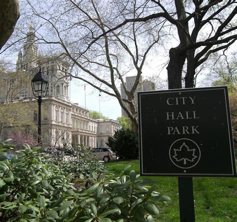 Premium Photo Information Sign On Tree