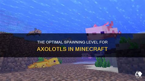The Optimal Spawning Level For Axolotls In Minecraft PetShun