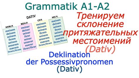 Склонение притяжательных местоимений Дательный падеж Deklination Der Possessivpronomen Dativ