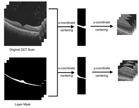 Patch Extraction Framework Download Scientific Diagram