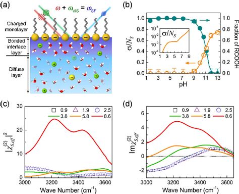 Figure 1 From Unveiling Microscopic Structures Of Charged Water