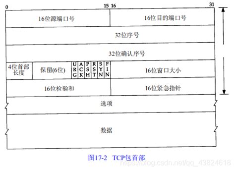 tcp与udp首部及字段 udp字段 csdn博客