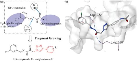 A Fragment Growing Based Virtual Screening B The Hit Compound