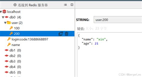 jedis快速入门 jedis官网 csdn博客