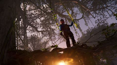 Jungle Update News — Rust