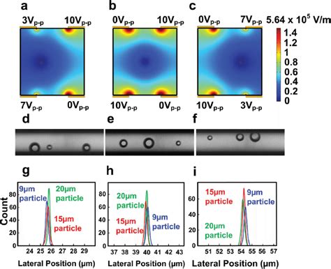Size Independent Focusing Experiment Ac Numerical Simulation Of Download Scientific Diagram