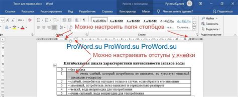 Как включить линейку в Ворде настройка и применение