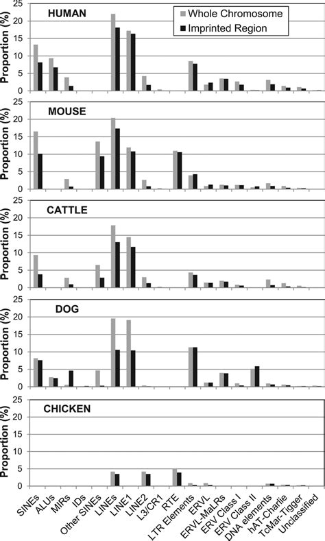 Comparison Of The Proportion Of Each Type Of Repetitive Element Found