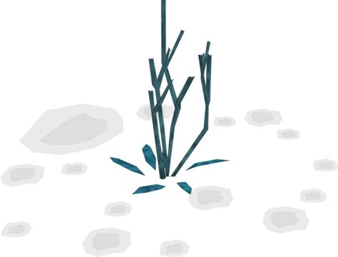 File Woad Plant Watered Stage 3 Png The Runescape Wiki