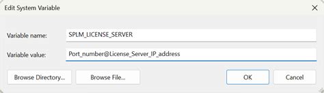 Creating The Splm License Server Environment Variable