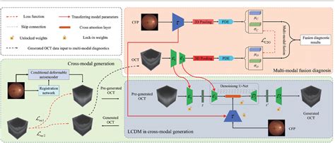 multi‐task collaboration for cross‐modal generation and multi‐modal ophthalmic diseases