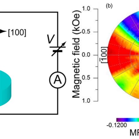 Color Online A Schematic Illustration Of The Gamnas Based Magnetic Download Scientific