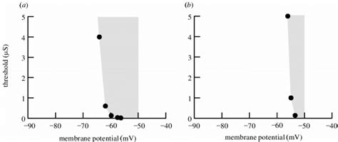 Rebound Burst Responses In Model Thalamic Reticular Neurons A Download Scientific Diagram
