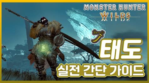 5분만에 보는 와일즈 태도 실전 간단 가이드 Youtube