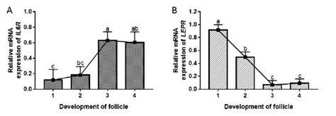The Relative Mrna Expression Level Of The Gene Il6r A And Lepr B In