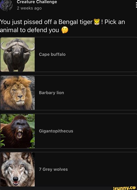 Gigantopithecus Memes Best Collection Of Funny Gigantopithecus Pictures On Ifunny