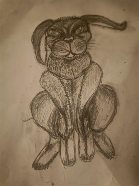 Rabbit Rdrawing