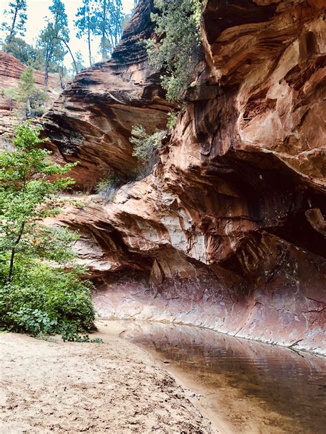 West Fork Trail Oak Creek Canyon West Fork Trail Natural Landmarks