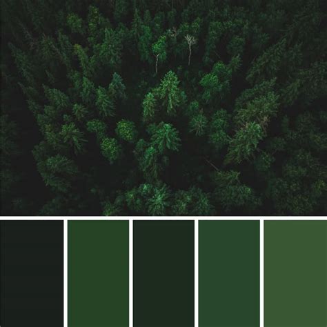 Forest Green Color Palette Green Color Names Green Palette Shades Of Green