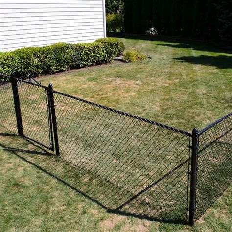 Chain Link