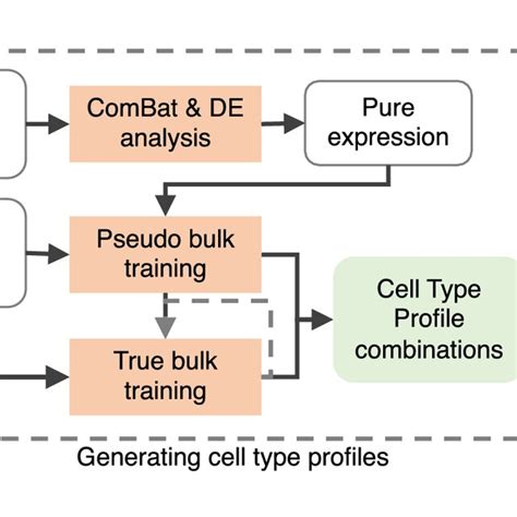 overview of the cellmap workflow cellmap includes the steps to