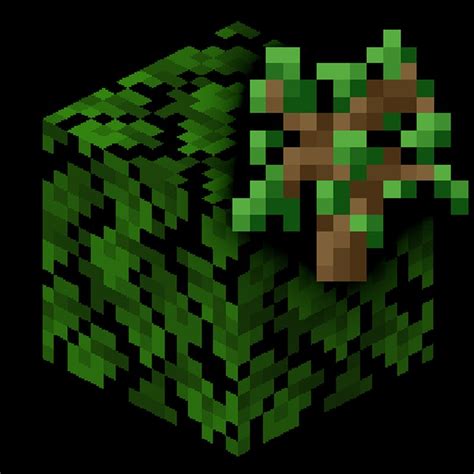 Tree Planter An Automatic Tree Re Planter Minecraft Data Pack