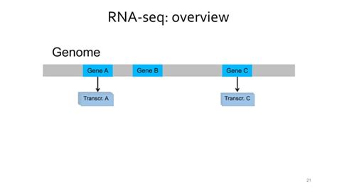 Mastering Rna Seq Ngs Data Analysis A Critical Approach To Transcriptomic Data Analysis Ppt