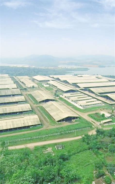 Trang Trai TH Mega Story