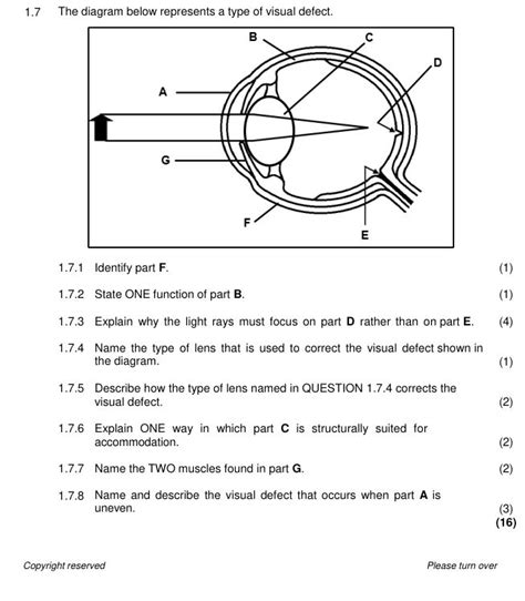 17 The Diagram Below Represents A Type Of Studyx