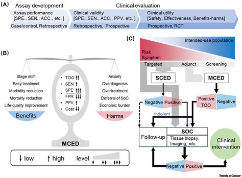 Circulating Cell Free Dna Based Multi Cancer Early Detection Trends In Cancer