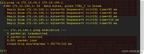 ospf终极实验 ospf配置拓扑图 csdn博客