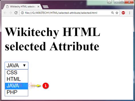 Html Tutorial Selected Attribute In Html Html5 Html Code Html