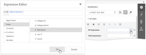 Designing Reports Use Report Elements Use Basic Report Controls Rich Text