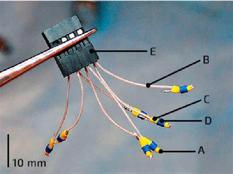 Figure 2 From Deep Learning Analysis Of Intracranial Eeg For