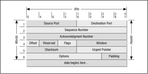 [chapter 1] 1 6 Transport Layer