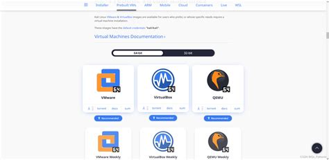 以简洁且简单的方式安装kali虚拟机（virtualbox vmware work station 17），以及安装后的简单配置 csdn博客