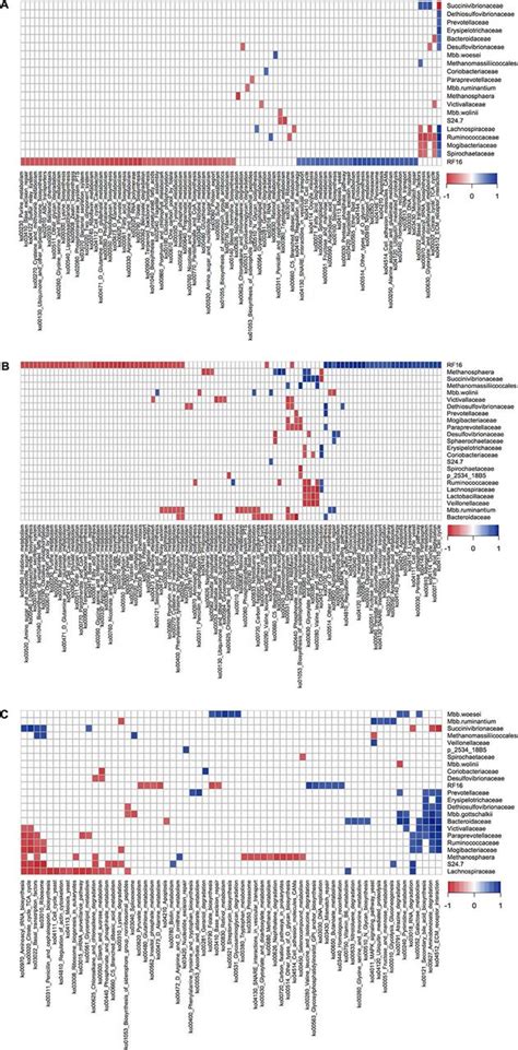 Metatranscriptomic Profiling Reveals Linkages Between The Active Rumen Microbiome And Feed