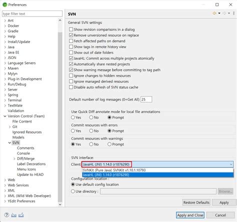 Tortoisesvn 로컬에 세팅 후 Sts 이클립스 Svn 연결 에러