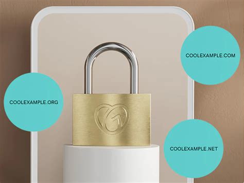 Types Of Ssl Certificates Explained Which One Is Right For Your