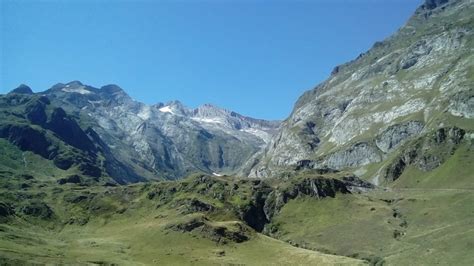 Cdisc And Adam Data Standards Shaping Market Access Success Lucid Analytics