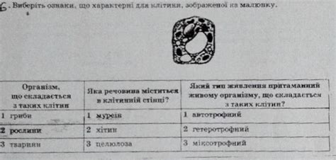 Виберіть ознаки що характерні для клітини зображеної на малюнку