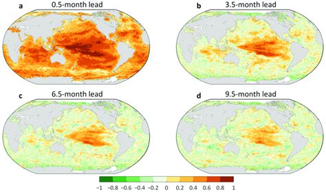 The Forecasting Skill Of Ocean Productivity At Different Lead Times