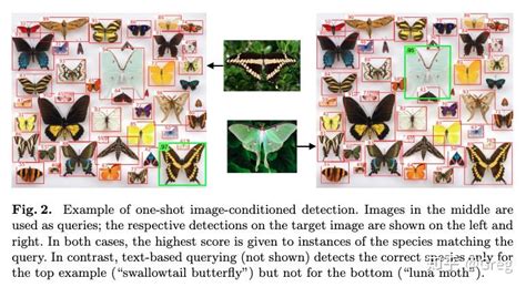 《simple Open Vocabulary Object Detection With Vision Transformers》论文笔记 知乎