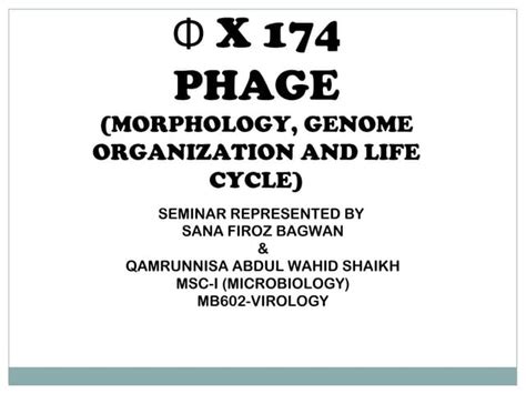 Phi X 174 Phage Ppt Biological Sciences Science