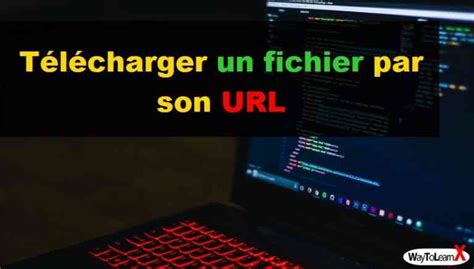 Comment Ouvrir Un Fichier Pdf Dans Le Navigateur Avec Php Waytolearnx