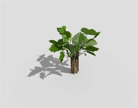 낮은 폴리 플랜트 3d 모델 5 Obj Fbx Dae Blend 3ds Free3d